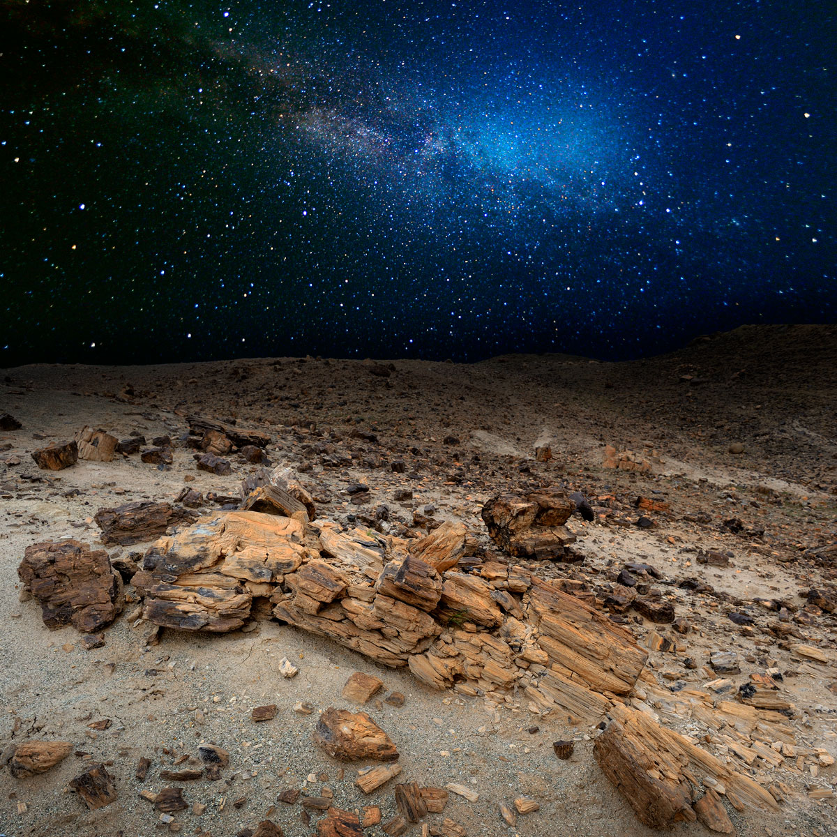 Cretaceous | Marc Progin